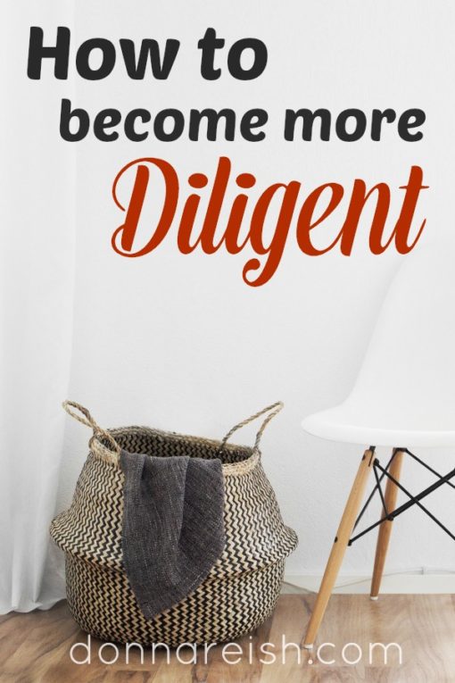 Productivity Training–How to Become More Diligent | Donna Reish